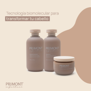 Inicio - Primont